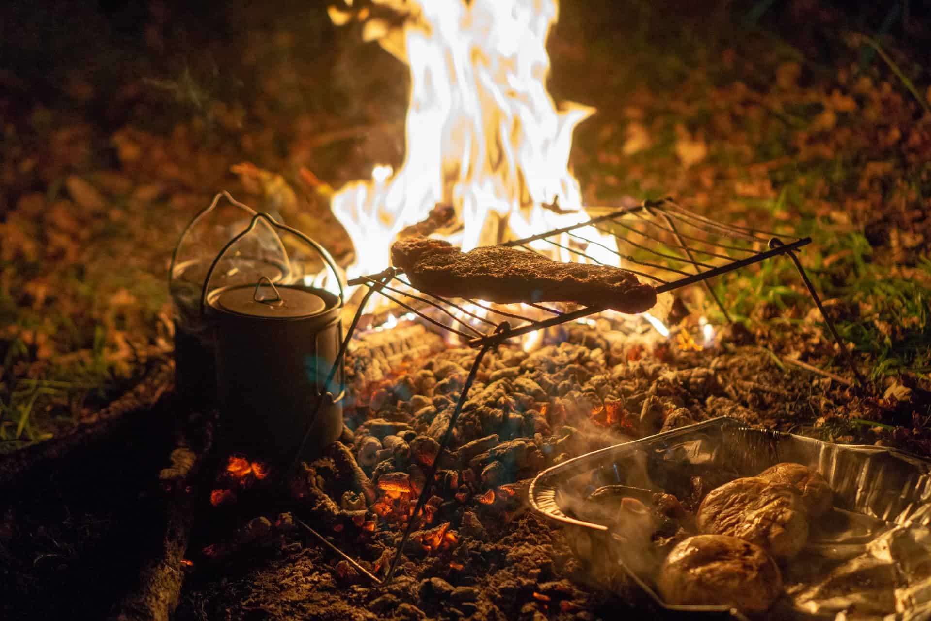 Top 5 Best Campfire Cooking Kits (2022 Reviews) - The Grilling Dad