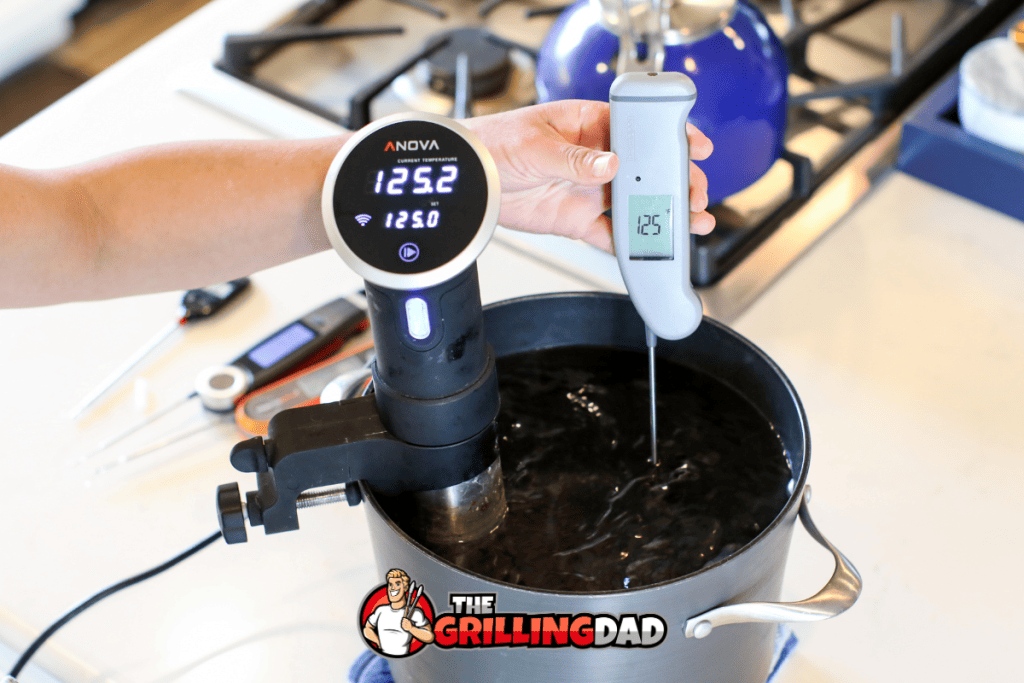 Thermoworks Thermapen ONE Review (Tried and Tested) - The Grilling Dad