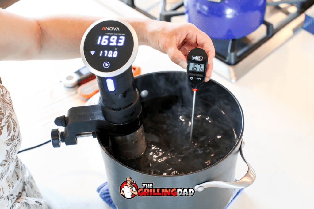 Weber Instant Read Meat Thermometer Review: Tried and Tested - The ...